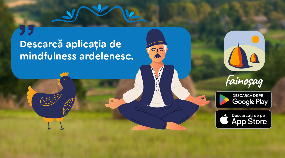 Comoara din Camara - Ardealul cu Fainosag